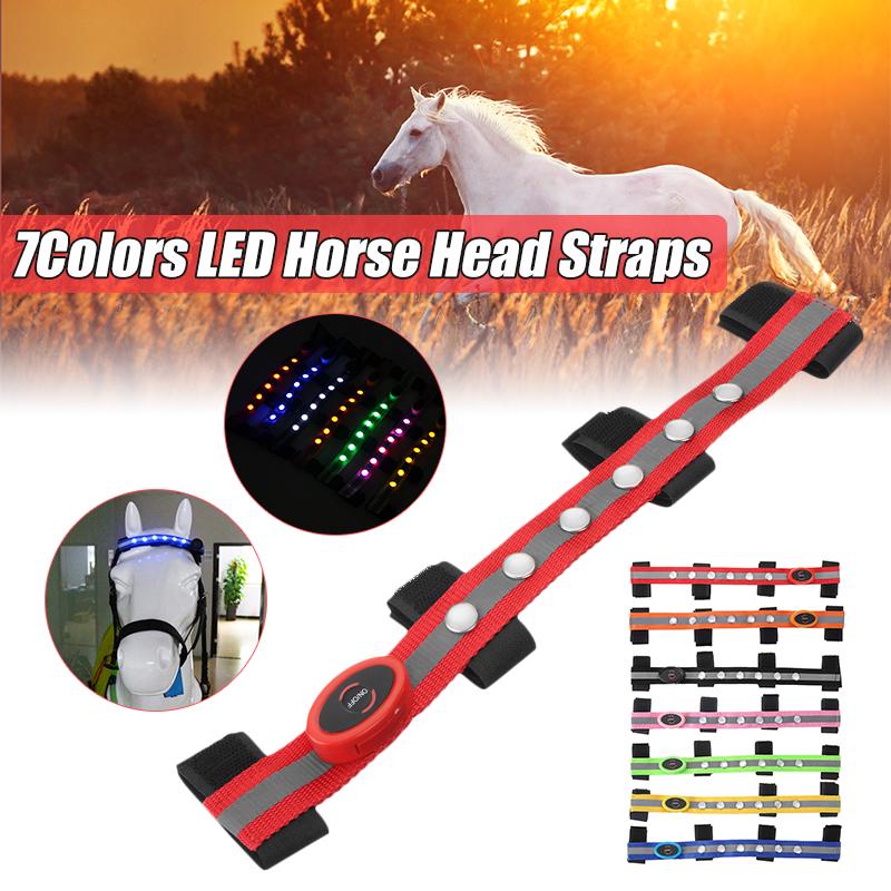 Buy Long LED Horse Riding Head Decoration Luminous Tubes Horses Riding ...
