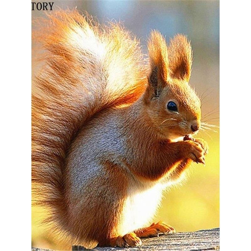 Diamond Painting Animals Crafts Squirrel Room Decor Picture With ...