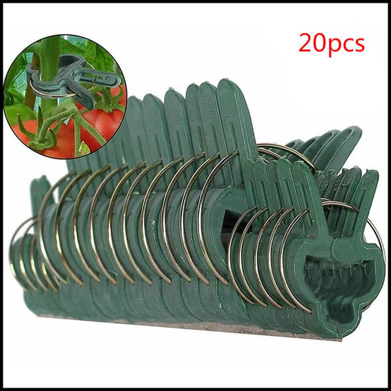 Buy 20pcs Garden Plant Flower Lever Loop Gripper Clips Support ...