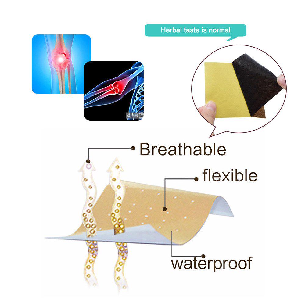 Buy Scorpion Plaster Balm Muscle Ache Back Joint Pain Relief Plaster ...