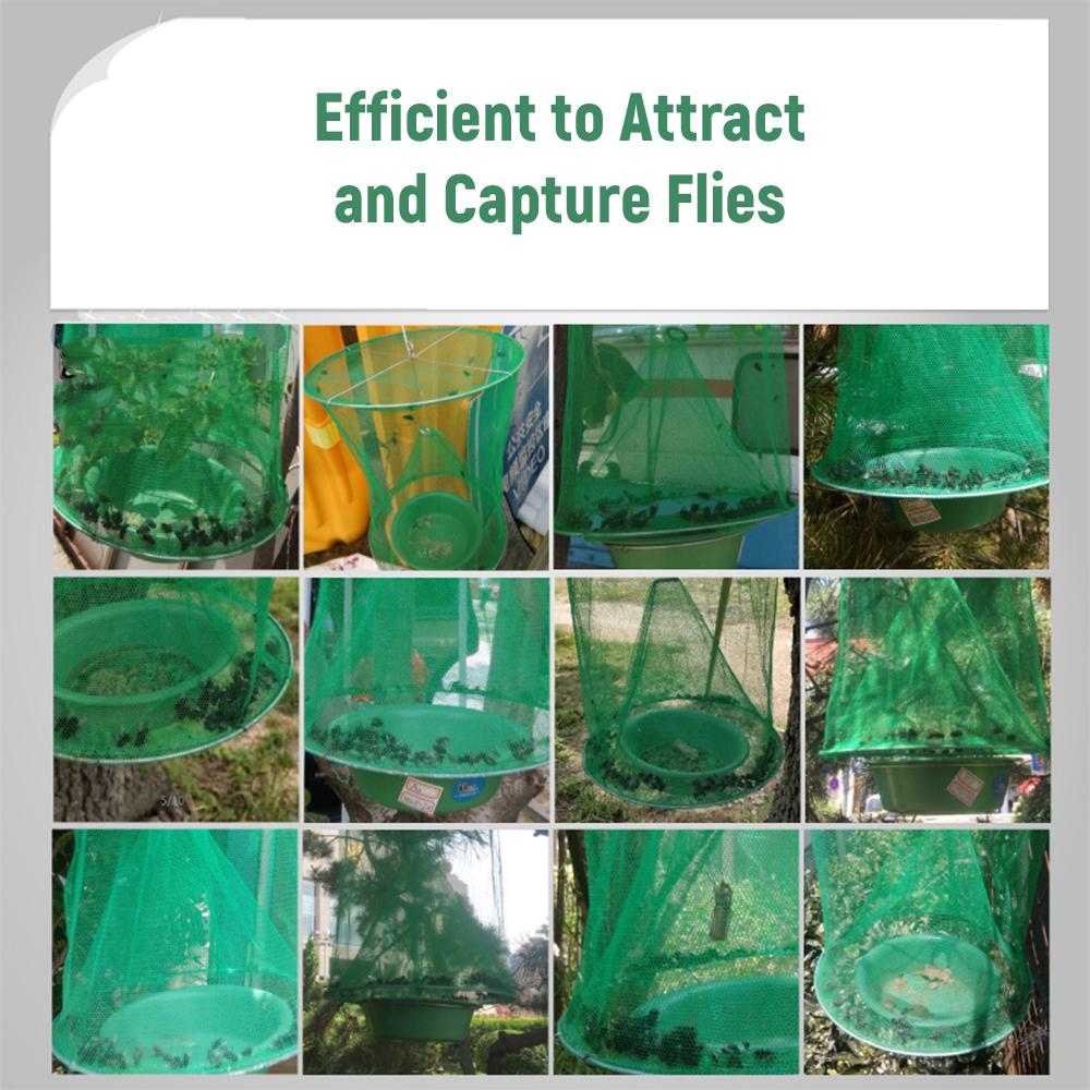 Buy Fly Catcher Foldable Hanging Fly Trap Insect Bug Cage Mesh Net Trap ...