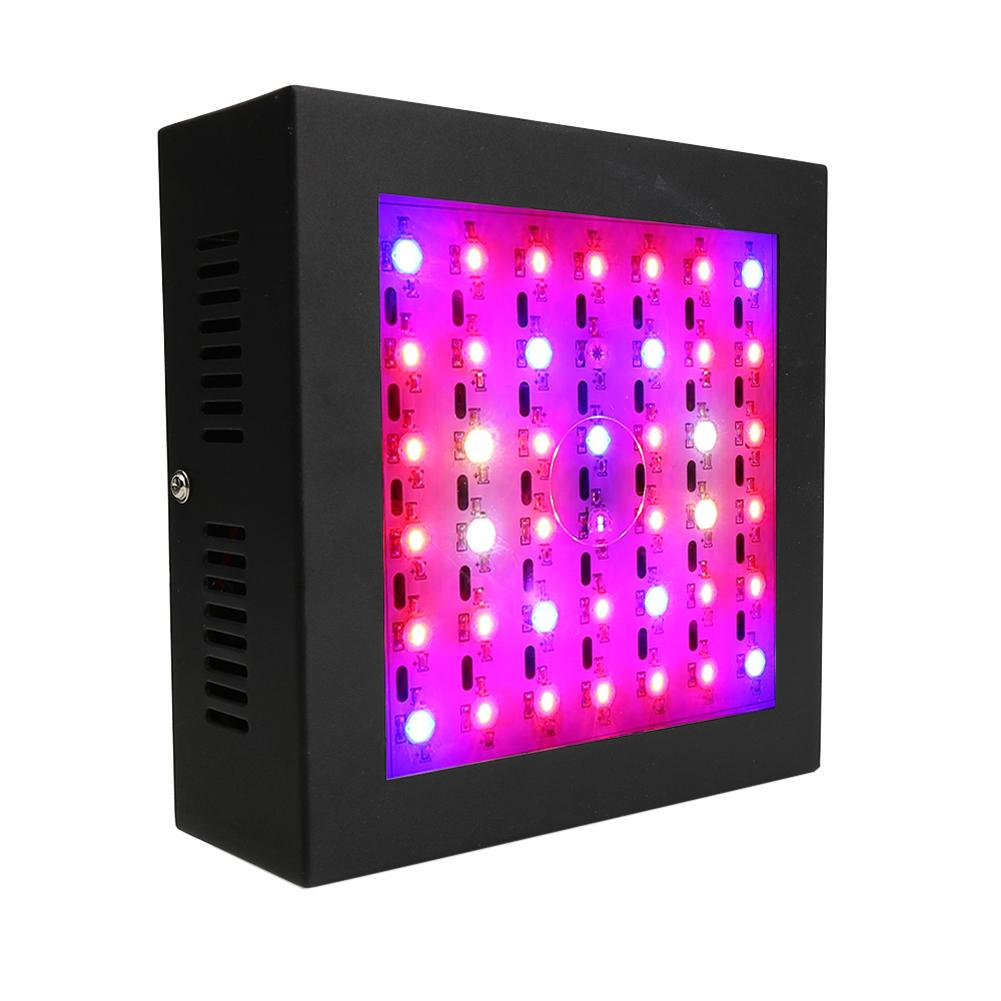 Buy 80W Mini LED Indoor Plant Grow Light Greenhouse Flower Vegetable ...