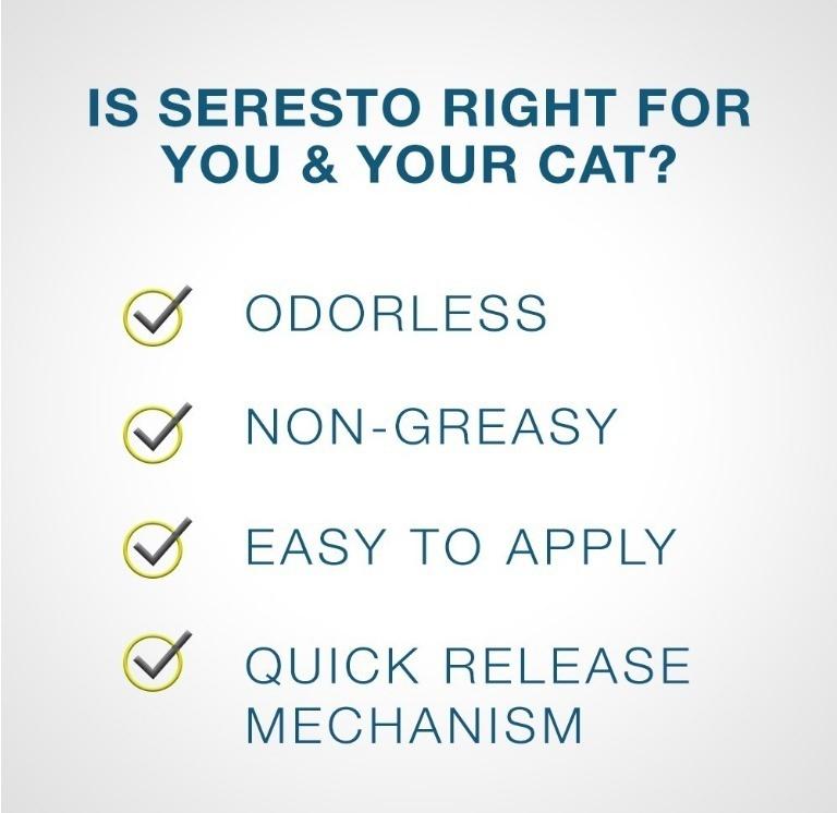 Buy Bayer Seresto Flea and Tick Collar for Cats Over 18 Lb 8 Month ...