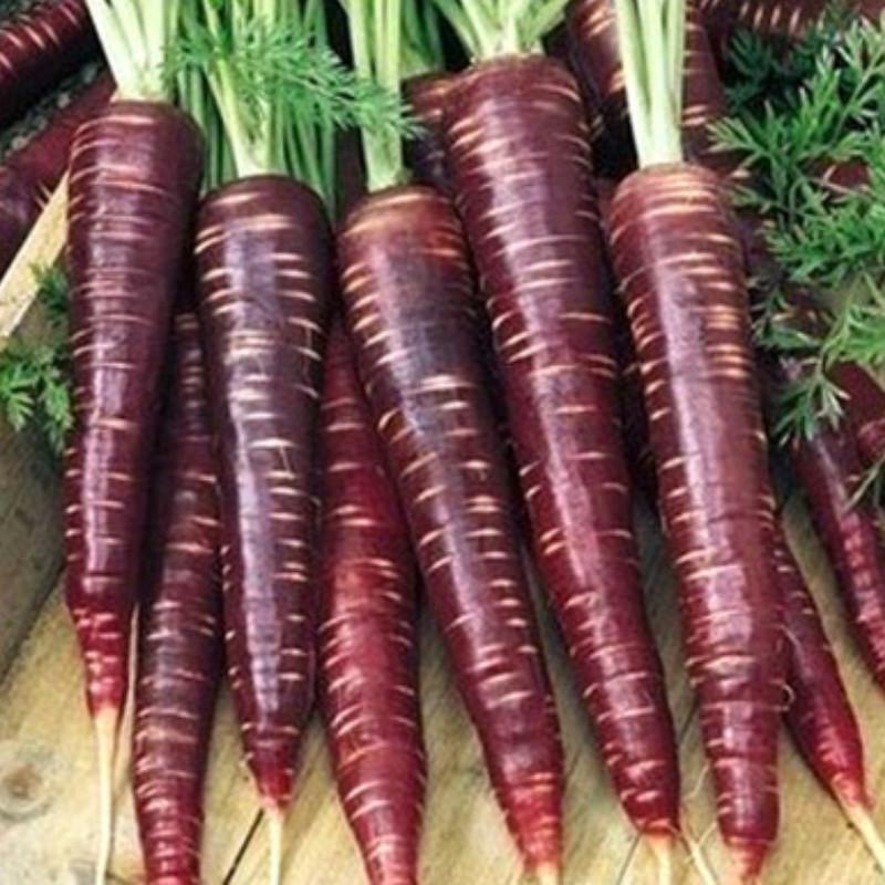 Buy Heirloom 50 Seeds Color Mixed Colors Vegetable Fruit and Flower ...