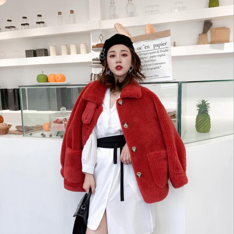 Buy Autumn and Winter Style Sheep Shearing Coat Women's Short Grain ...