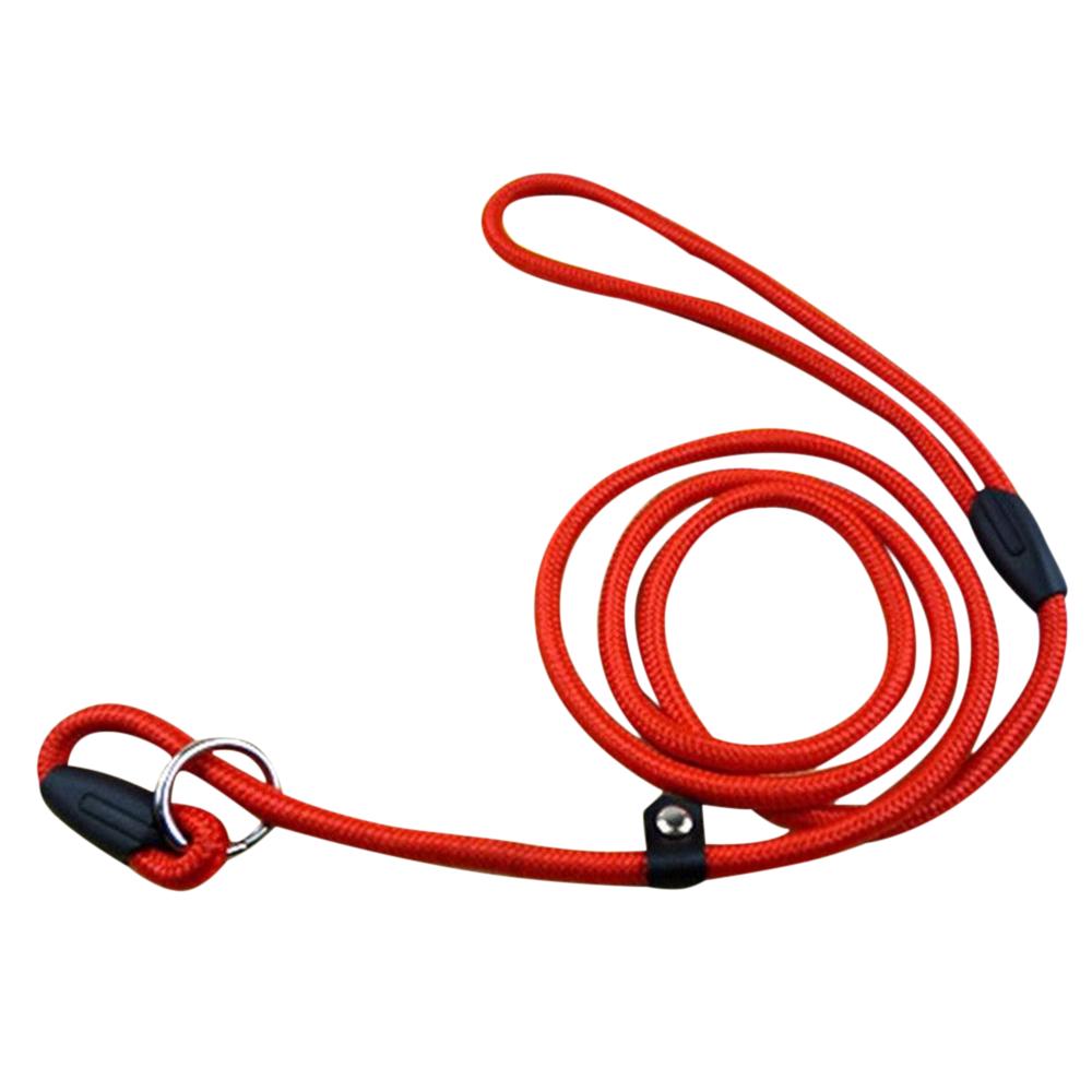 Pet Dog Nylon Rope Puppy Adjustable Training Leash Slip Lead Strap ...