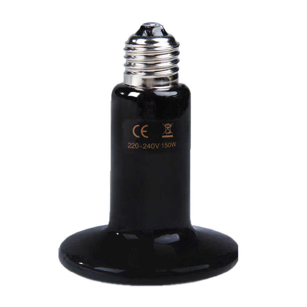 Buy 150W 85mm Black Ceramic Flat Bottom Heat Lamp Bulb at affordable ...