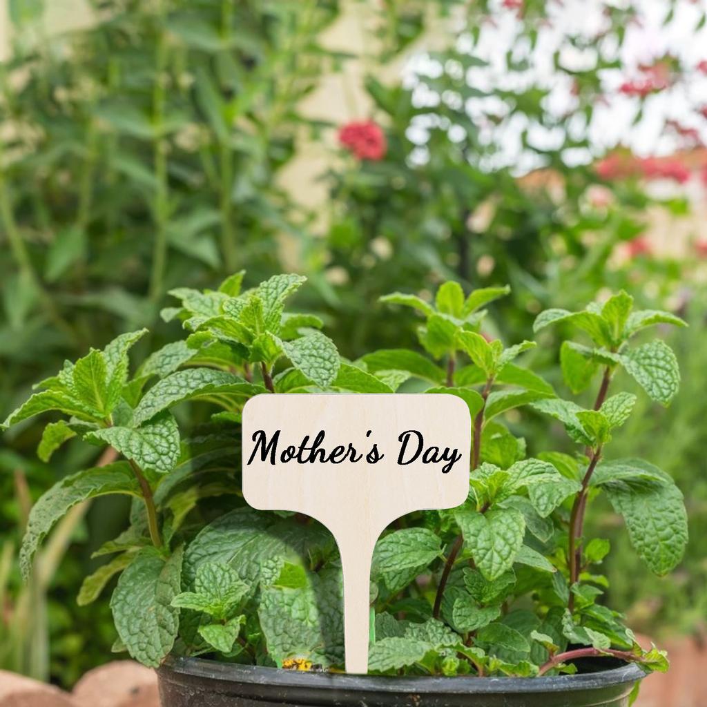 Buy Wooden Sign Gardening Plant Label Insert Ground 50PCS With Marker ...