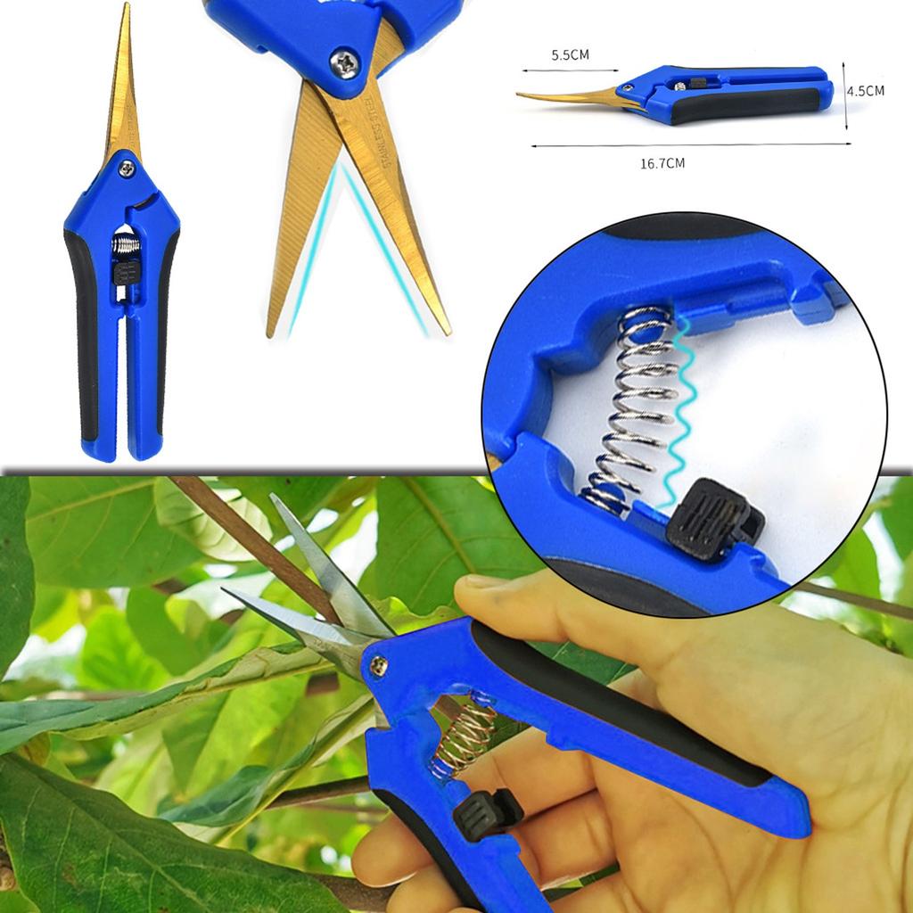 Buy Stainless Steel Hand Elbow Spring Safety Lock Garden Pruning ...