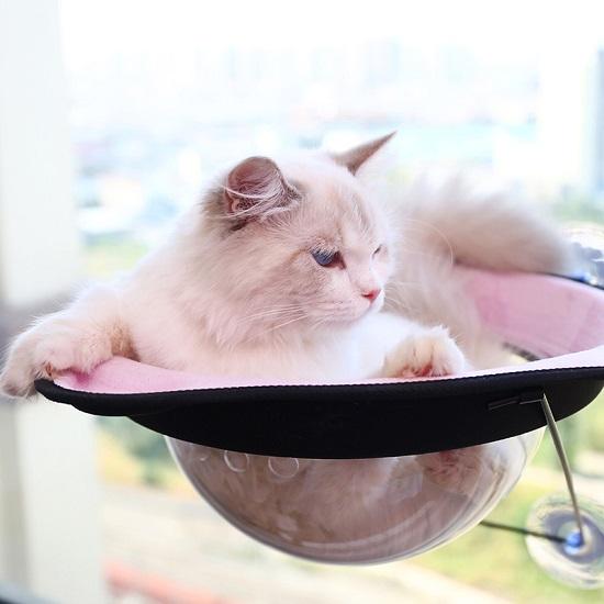 Buy Cat Nest Toys Space Capsule Suction Cup Cat Hammock Cat Hanging ...