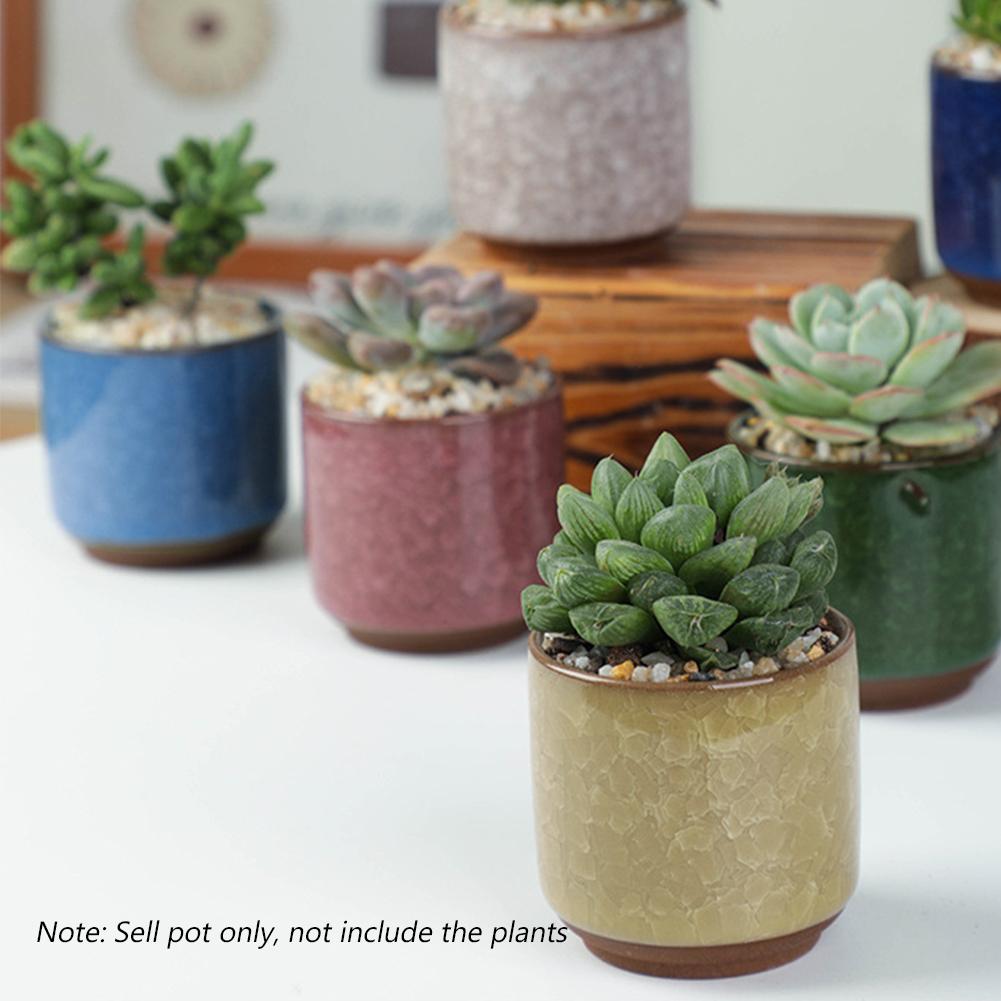 Home Décor Home & Living Indoor Planters set of 3 pots ceramic cactus ...
