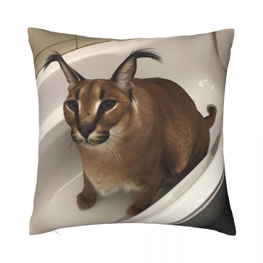 Satın alın Floppa Cute Meme Cushion Cover 40x40 Home Decor Dakimakura ...