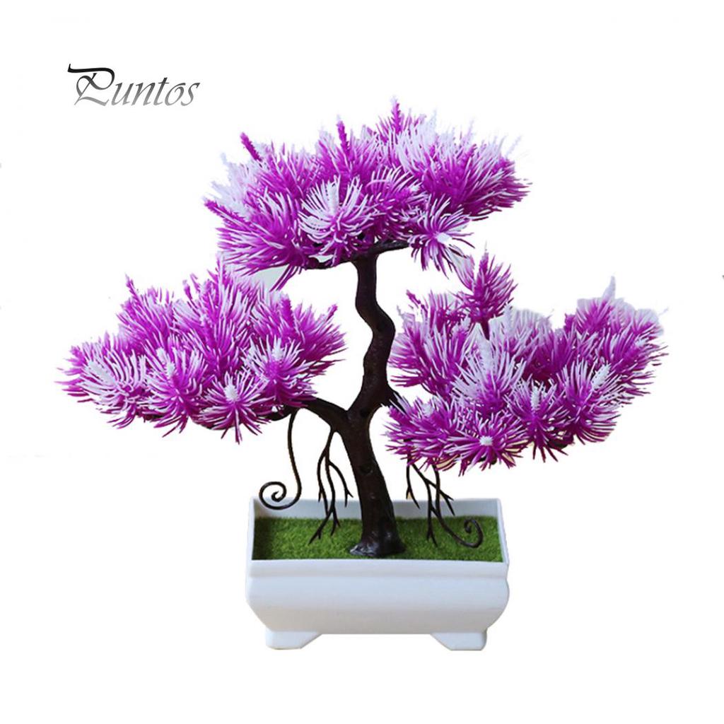 Cumpără 1 buc pateu artificiale plante PIN copac Bonsai etape gradina ...