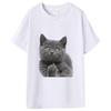 Buy Funny Middle Finger Cat Shirt Men Short Sleeve Summer Do What I ...