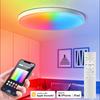 Buy Homekit Smart WiFi LED Ceiling Lights 24W Dimmable RGBCW Ceiling ...