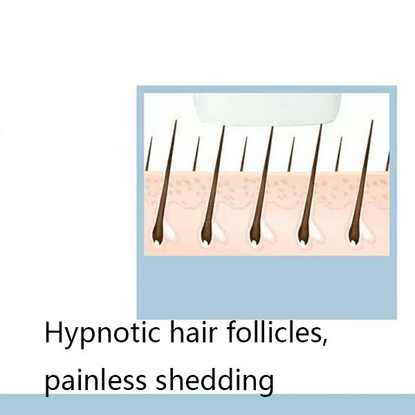 Buy Home Full Body Shaver Private Parts Under The Ice Point Laser Hair ...