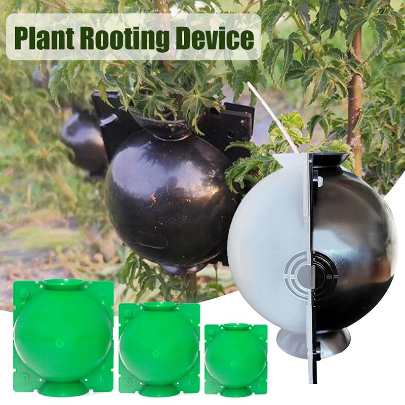 Buy 1PC Garden Box Propagation Ball Box Plant Rooting Device High ...