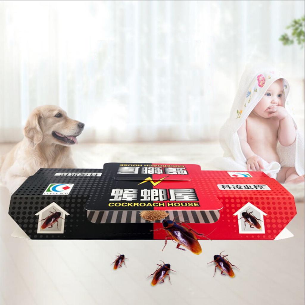 Buy Cockroach Trap Pitfall House Killer Bug Insect Net Bait Catch Glue ...