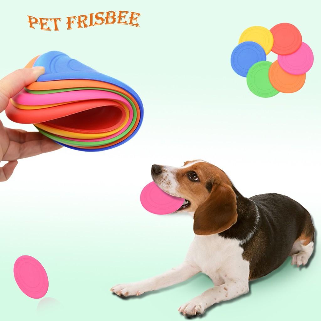 Buy CATER1 Pet Dog Toy Floppy Disk Parabolic Interactive Play Training ...