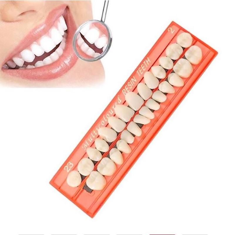 Buy Dental Materials Plastic Teeth Teaching Model Special Tooth Box ...
