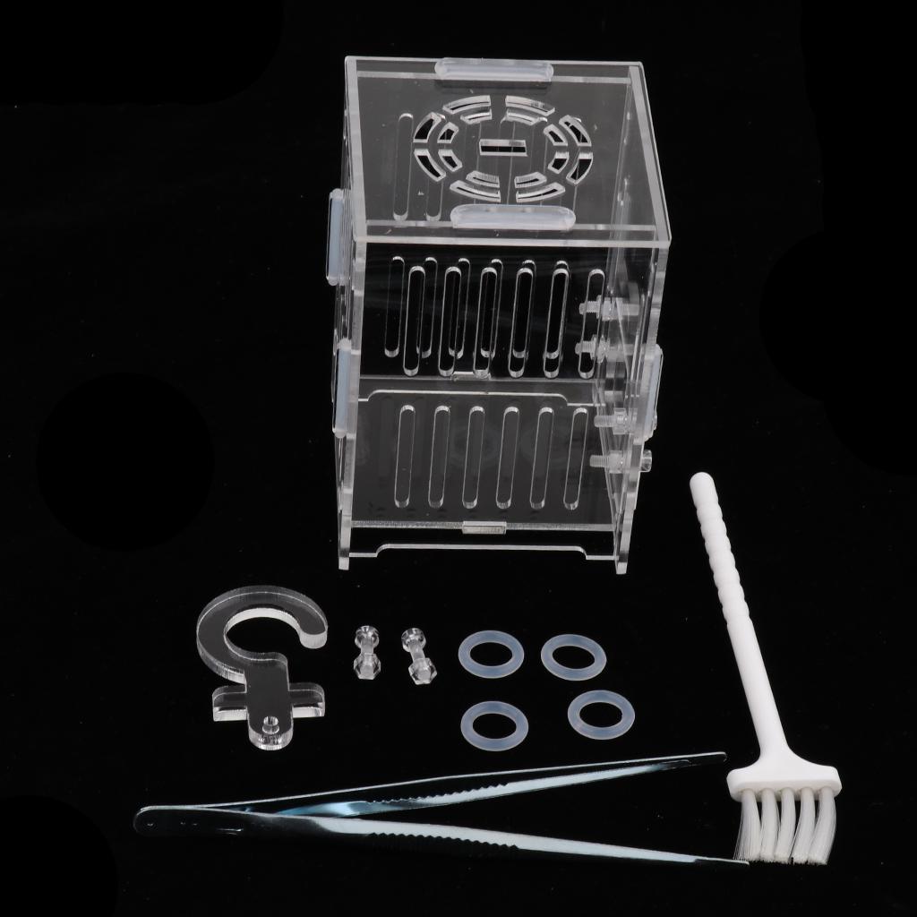 Satın alın Spider Insect Tank Vivarium Cage Box Clear Acrylic Terrarium ...