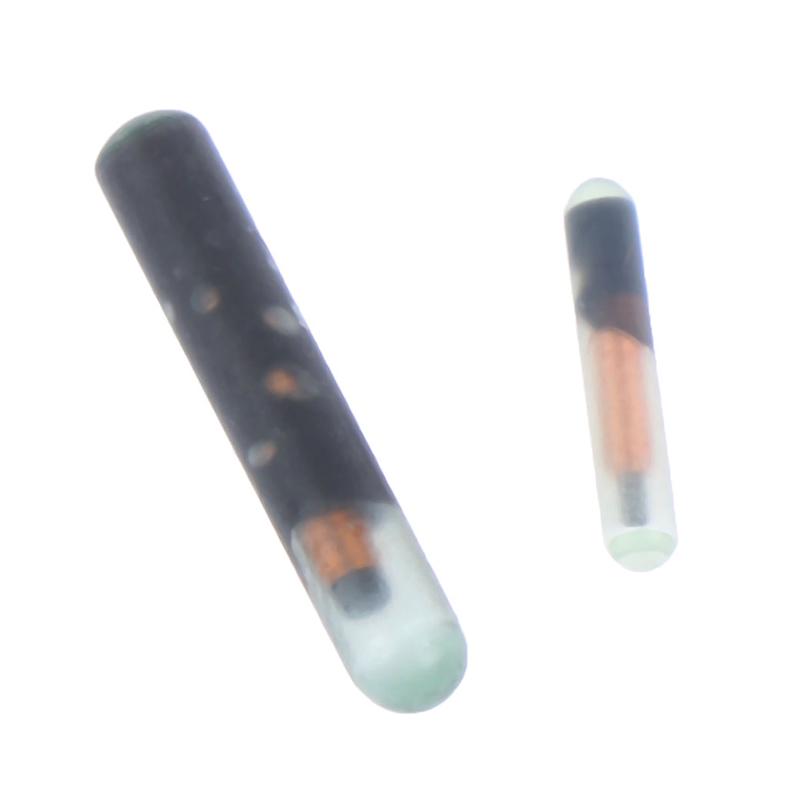 Buy 134.2Khz Microchip Animal Rfid Tag For Fish Dog Cat Idetification ...