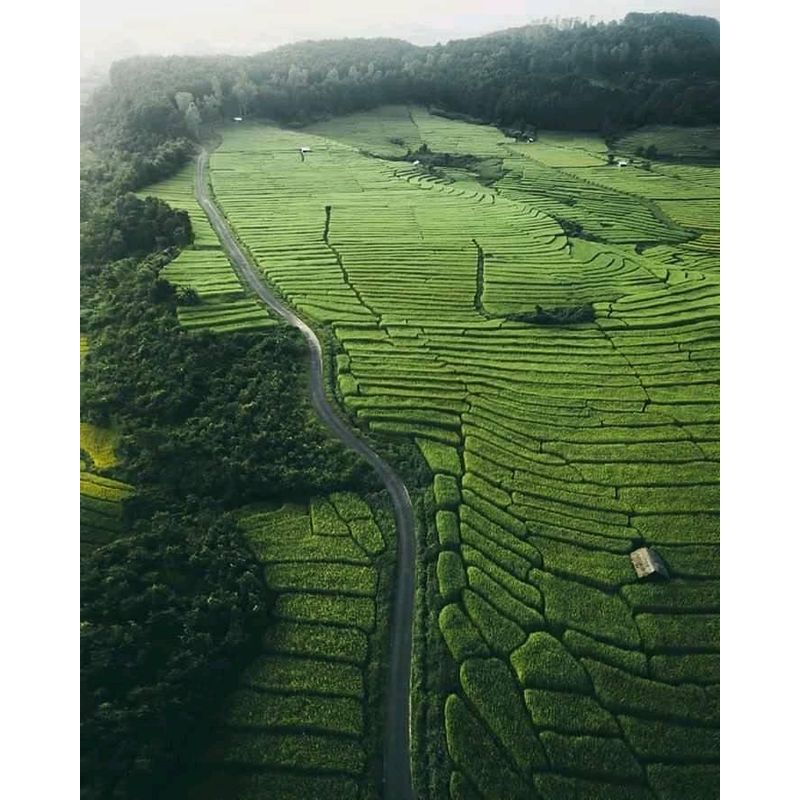 Buy Diy 5d Diamond Painting Scenery Rhinestones Pictures Landscape ...