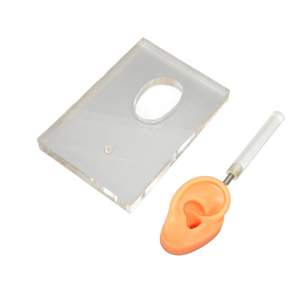 Buy Silicone Right Ear Model Fine Details Soft Ear Model Acrylic ...