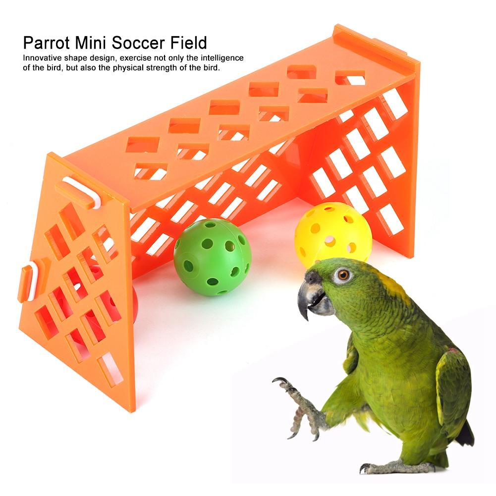 Buy Hot Sale Ball Bird Pet Cockatiel Puzzle Training Development ...