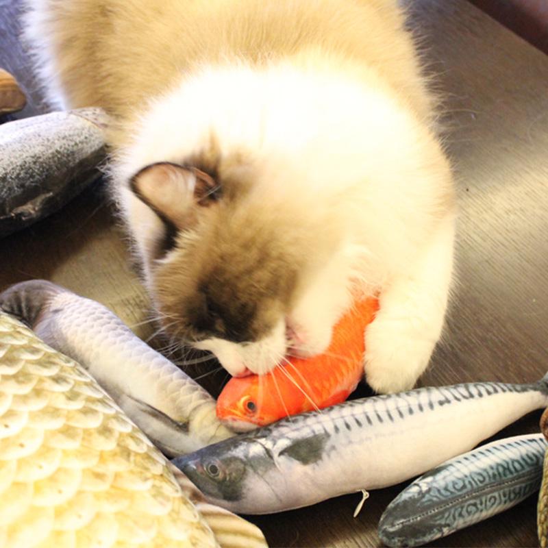 Buy Pet Soft Plush 3d Fish Shape Cat Toy Fish Catnip Toys Stuffed ...