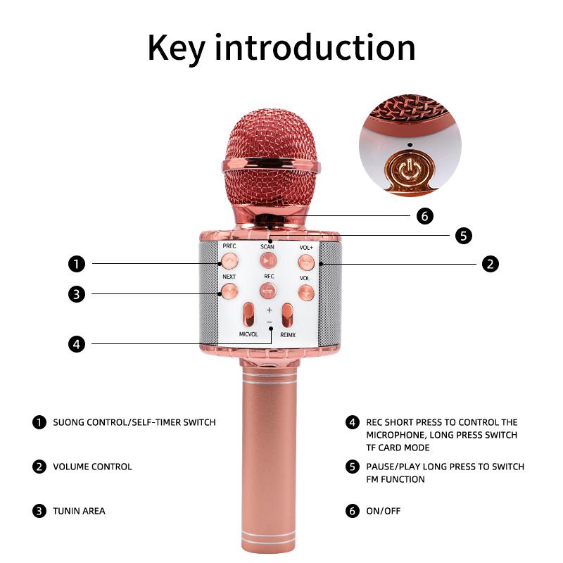 Buy 1 Piece LED Light Flashing Microphone 858L Bluetooth Wireless ...
