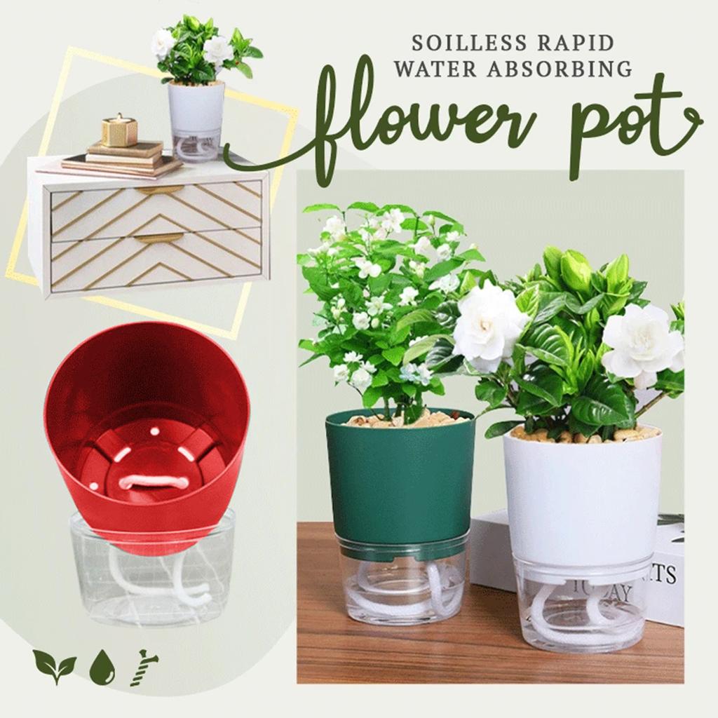 Buy BS Soilless Water Absorbing Flower Pot Automatic Water-absorbing ...