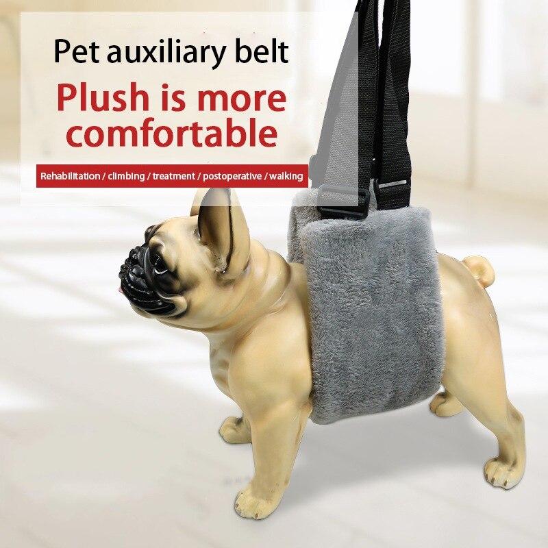 Pet Safety Care, Coral Fleece Warm And Cold Auxiliary Belt in Autumn ...