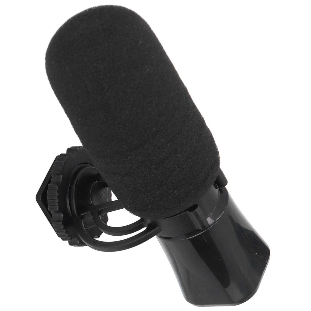 Professional Camcorder Mic Interview Shooting Microphone Video ...