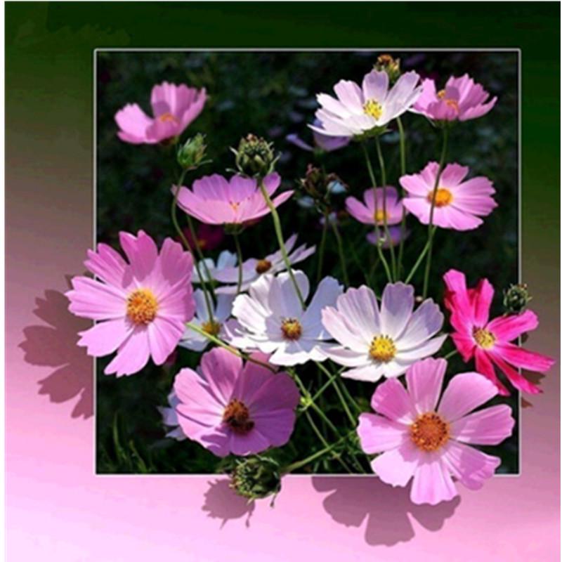 5D DIY Round Diamond Painting Flowers Outside The Frame Diamond ...