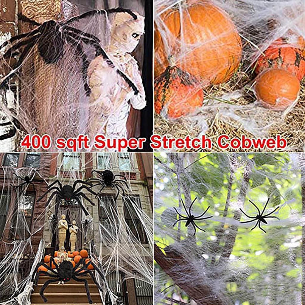 Buy (male wardrobe)Halloween Decorations - 6.6 Ft Giant Spider Scary ...