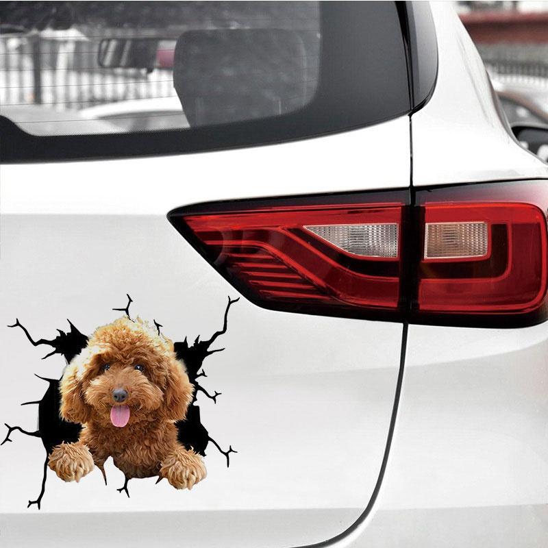 Buy 30-50cm Car Sticker Poodles For One Piec Zoro Peeker Car Stickers ...