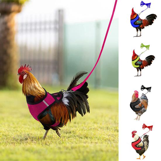 Cheap Fashion 1 Set Chicken Harness with Leash Breathable Adjustable ...