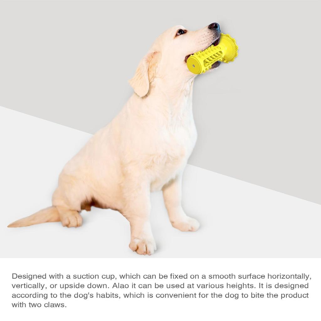 Buy AA BB Dog Teething Stick Dog Chew Toy Pet Toys Molar Puppies Toys ...