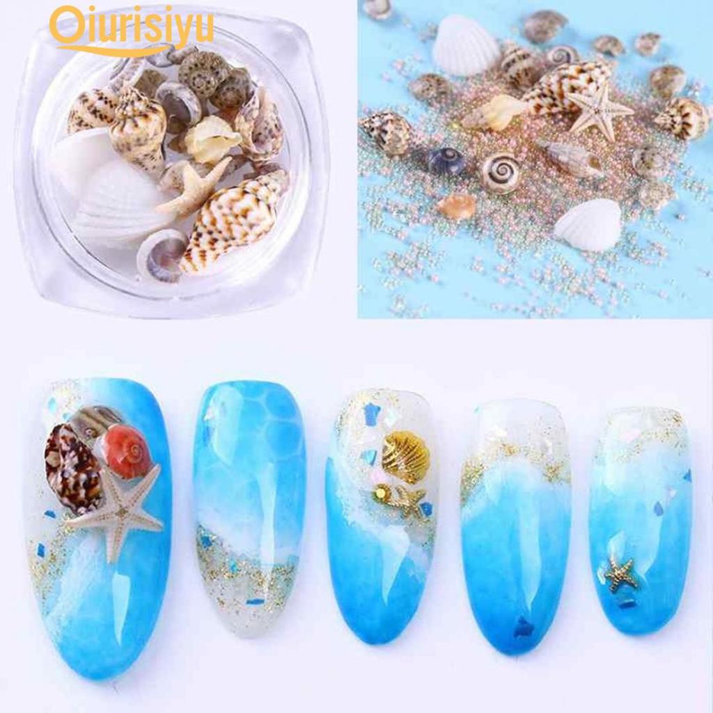 Buy 1 Box Ocean Style Shell Conch Starfish 3D Nail Art Decor Manicure ...