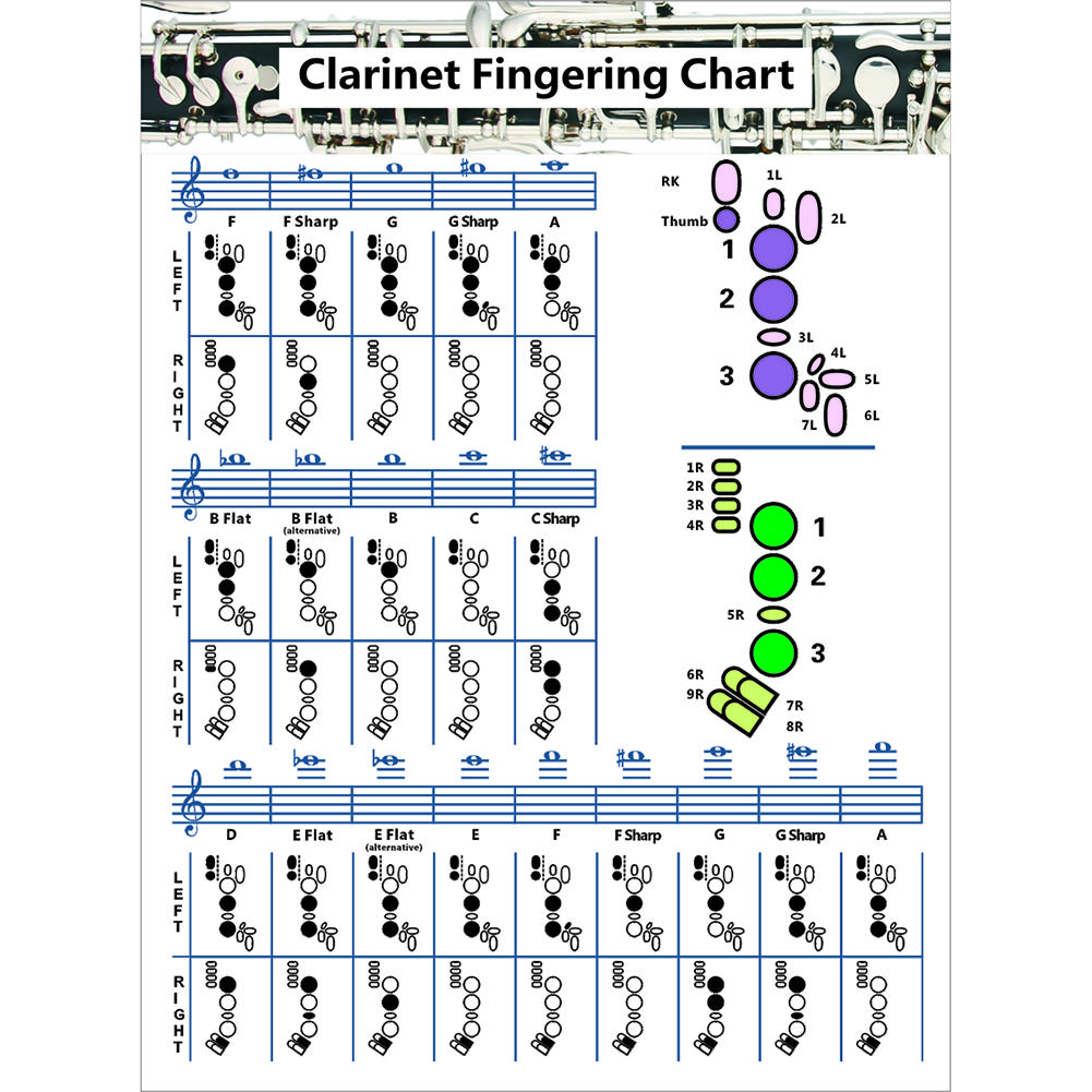 Buy Clarinet Finger Guide Clear Illustration Fingering Chart Chord for ...