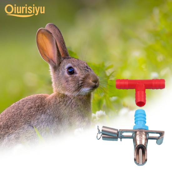 Buy 5 Sets Drinking Water Mouth Automatic Double Springs Pet Supplies ...