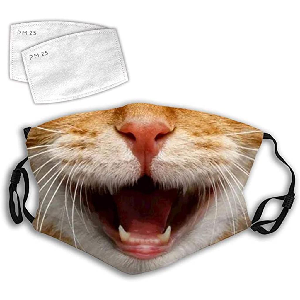 Buy Yinc Dustproof Mask Cat Printed Fashion Face Masks with Filter for ...