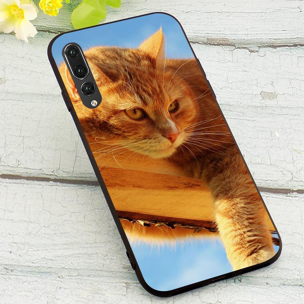 Buy Cat Phone Case for Huawei Y6 2018 6A 7A 8 9 10 Lite 20 9X Pro Y7 Y9 ...
