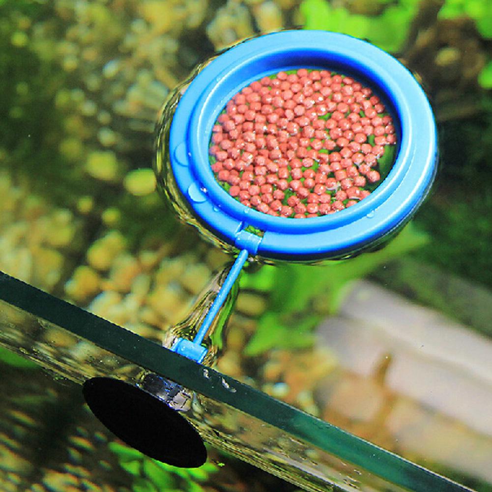 Buy Aquarium Supplies Small Tropical Fish Feeding Circle Small Goldfish ...