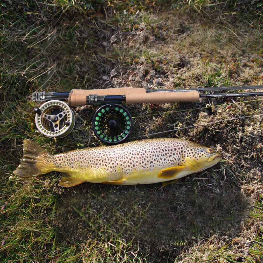 Buy Goture Bluewater Fly Fishing Rod 4WT 5WT 8WT 9WT Hard Fly Rod 30T ...