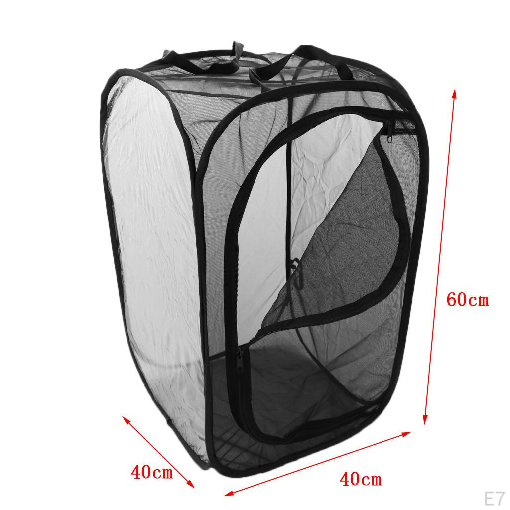 Cheap Foldable Insect and Butterfly Habitat Net Terrarium Breeding Cage ...