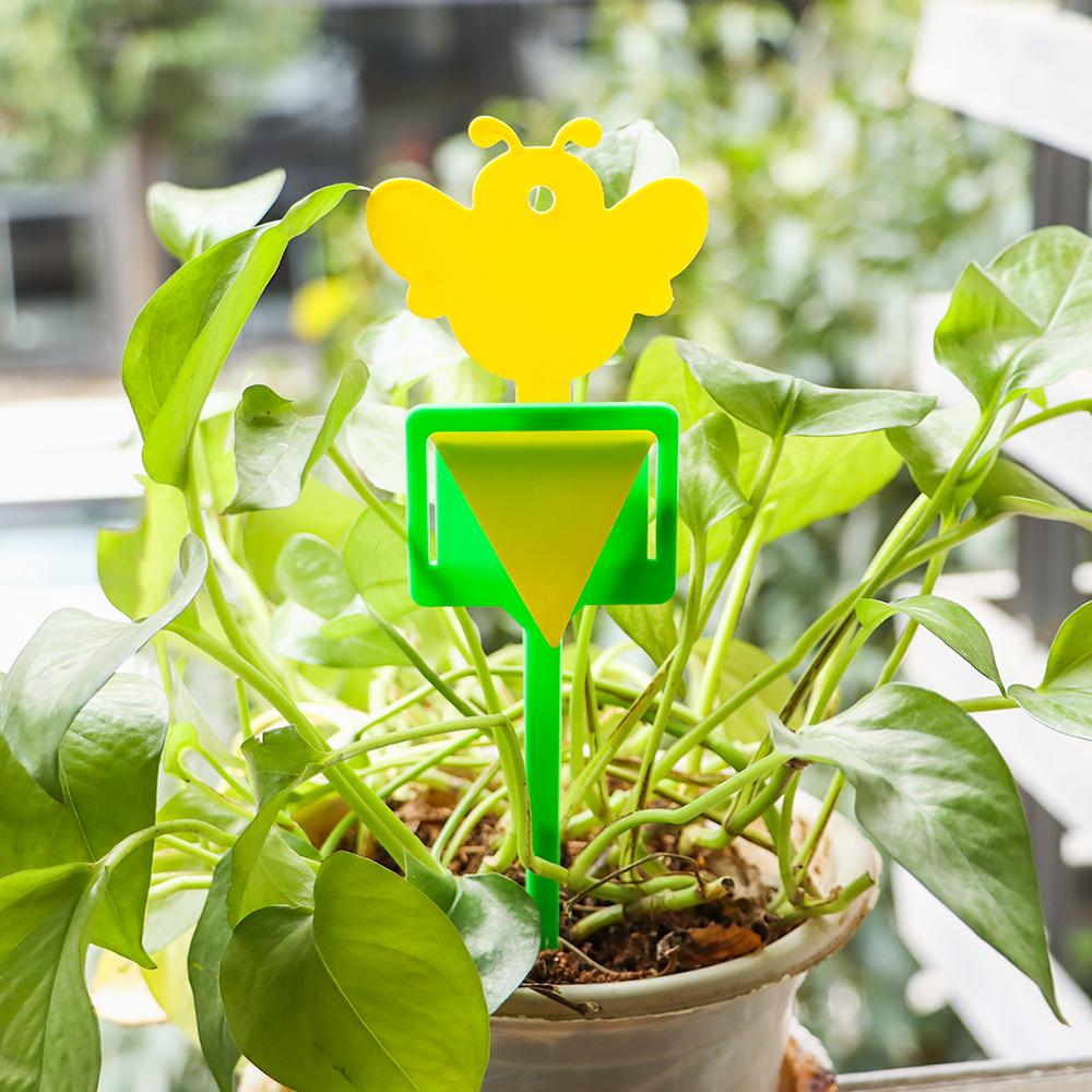 Buy Aphids Catcher Mosquito Killer Insect Sticker Dual-Sided Glue Paper ...