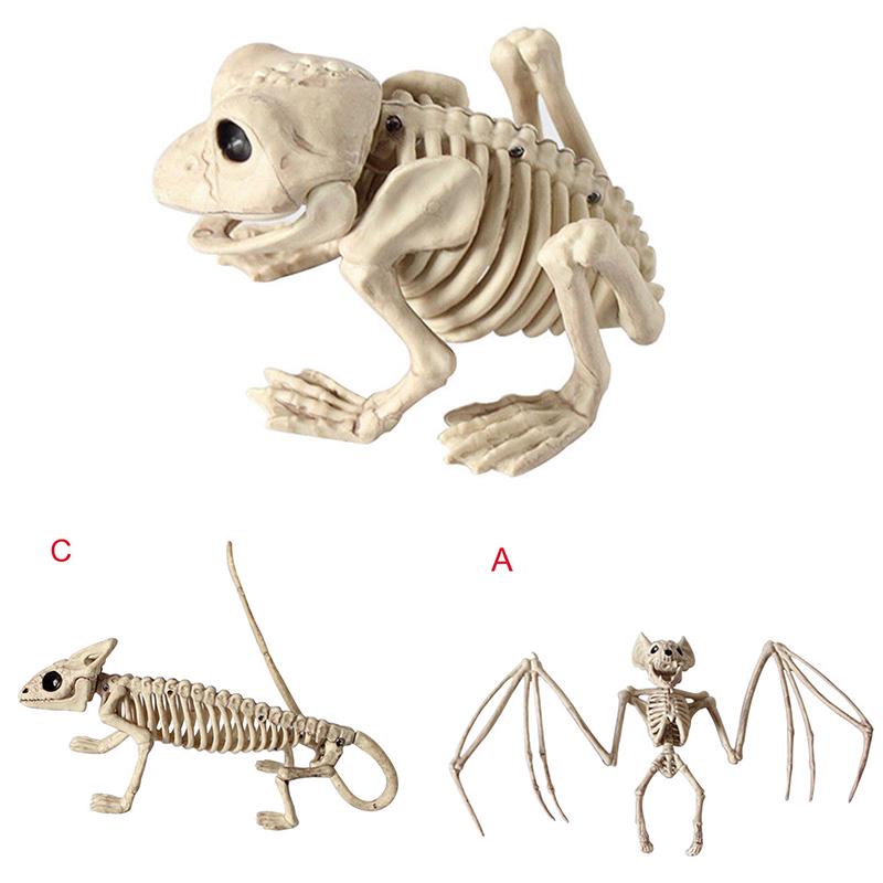 fashion Skeleton Bat/Frog/Lizard Bones Plastic Animal Skeleton Bones ...