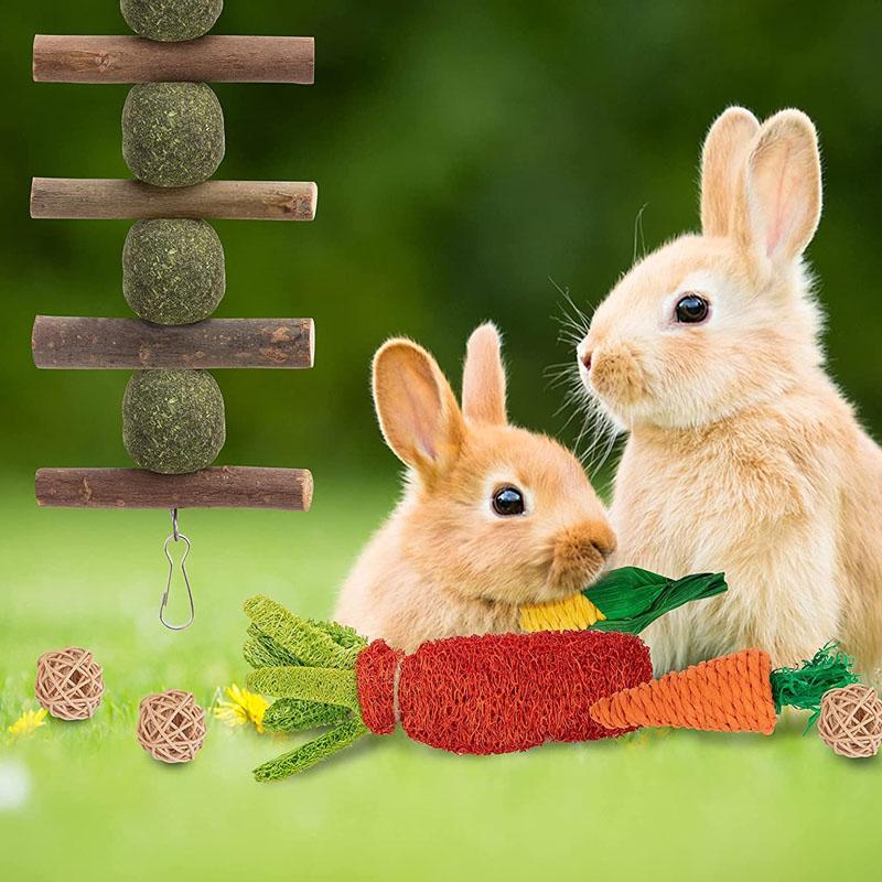 16 PCS Rabbit Toys Bunny Chew Toys for Teeth, Rabbit Hamster Chew Toys ...